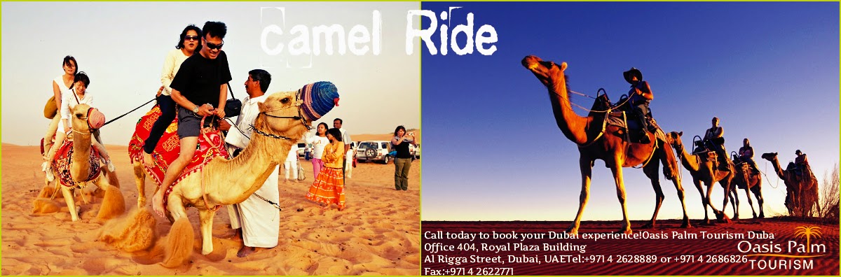 Rustar Dhow Cruise Tours in Dubai: Safari tours – Adventure that you ...