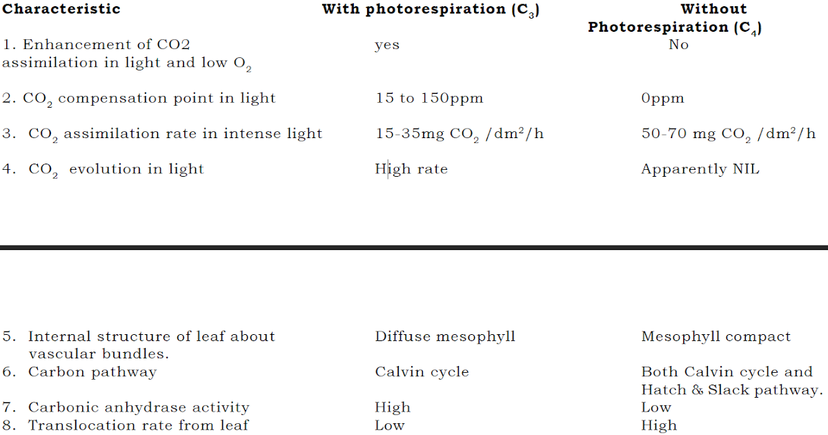 Why named as C2 Cycle?