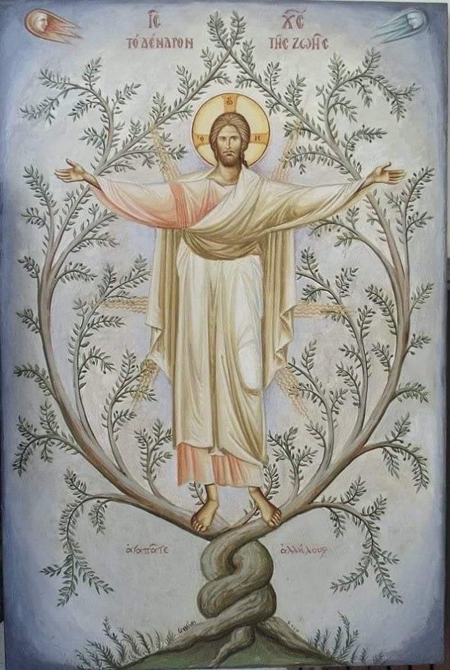 Full of Grace and Truth: " Let all the trees of the forest rejoice..."