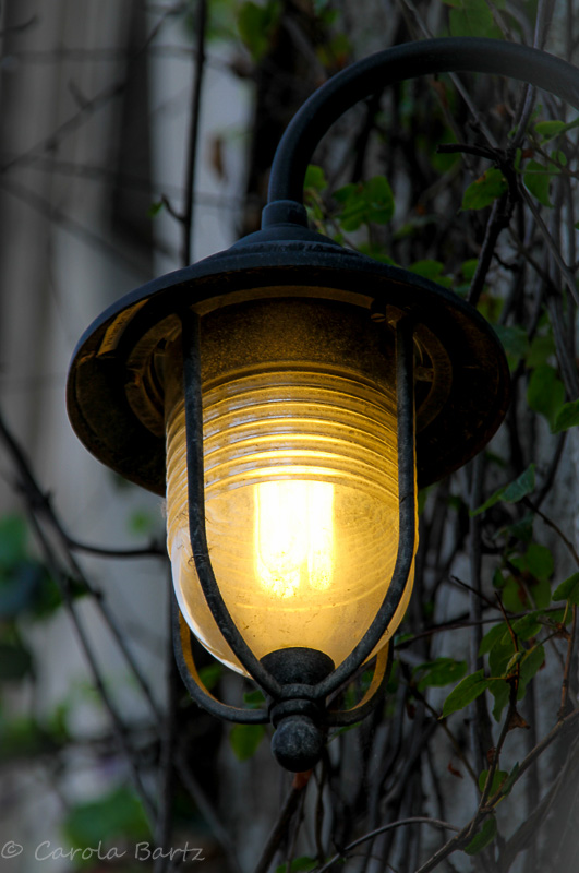 carola bARTz: Paris in July 2019: City of Lights