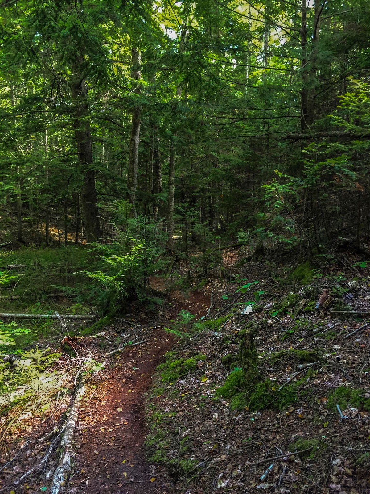 Hiking Frog Bay National Park in Red Cliff WI