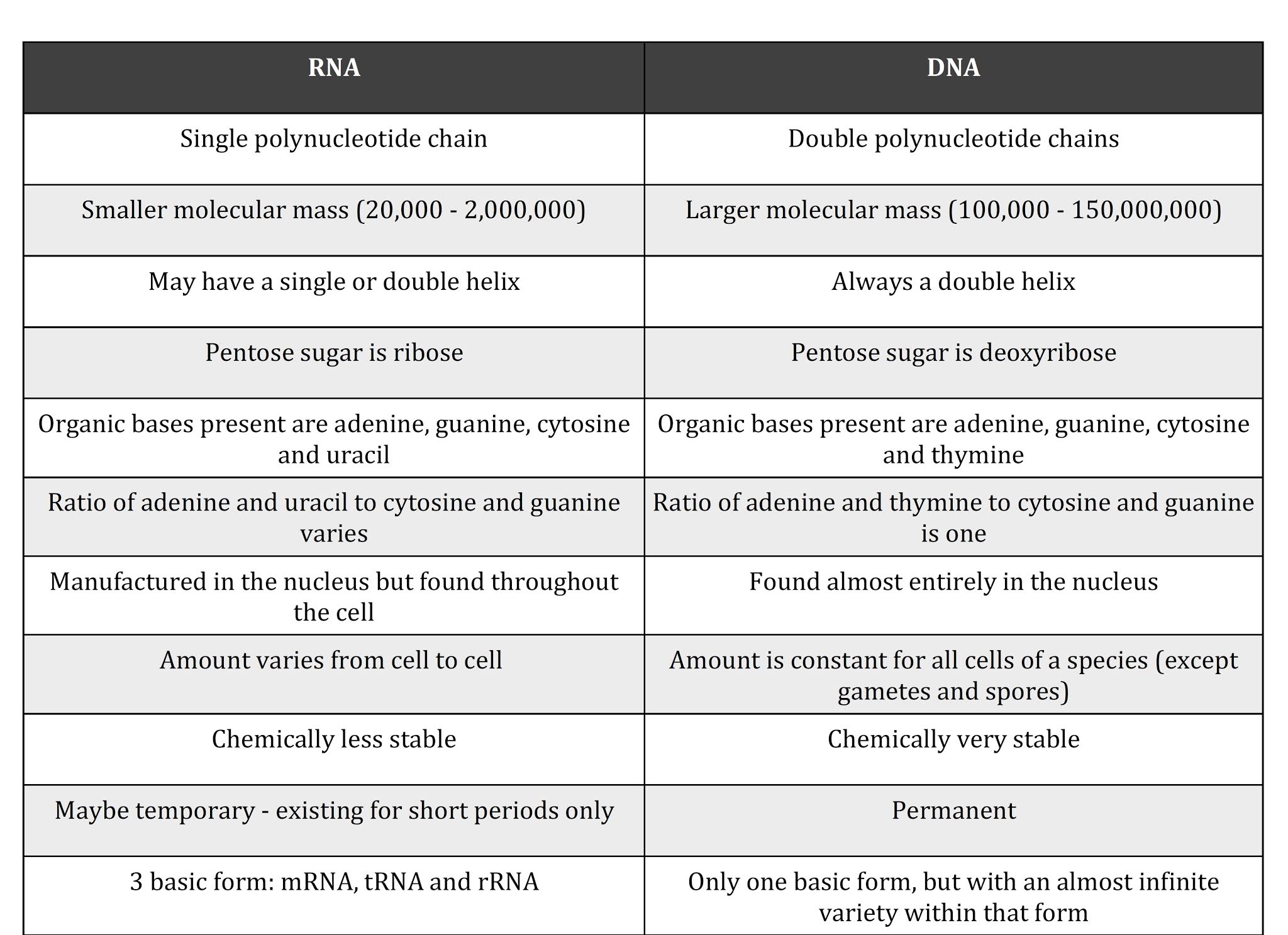 Student Study Notes: STPM Biology Biological Molecules Part 18 Nucleic ...