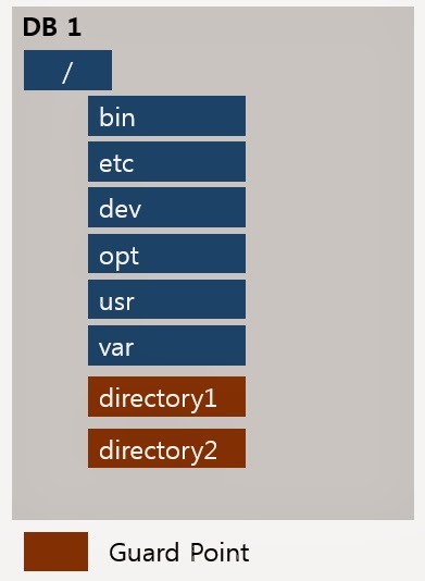 Vormetric : Data Encryption Solution (2/2)