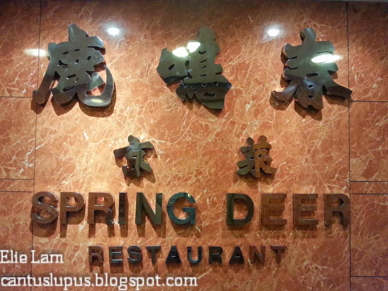 Hong Kong Eats: Spring Deer Restaurant & Cafe De Coral - CANTUSLUPUS.COM