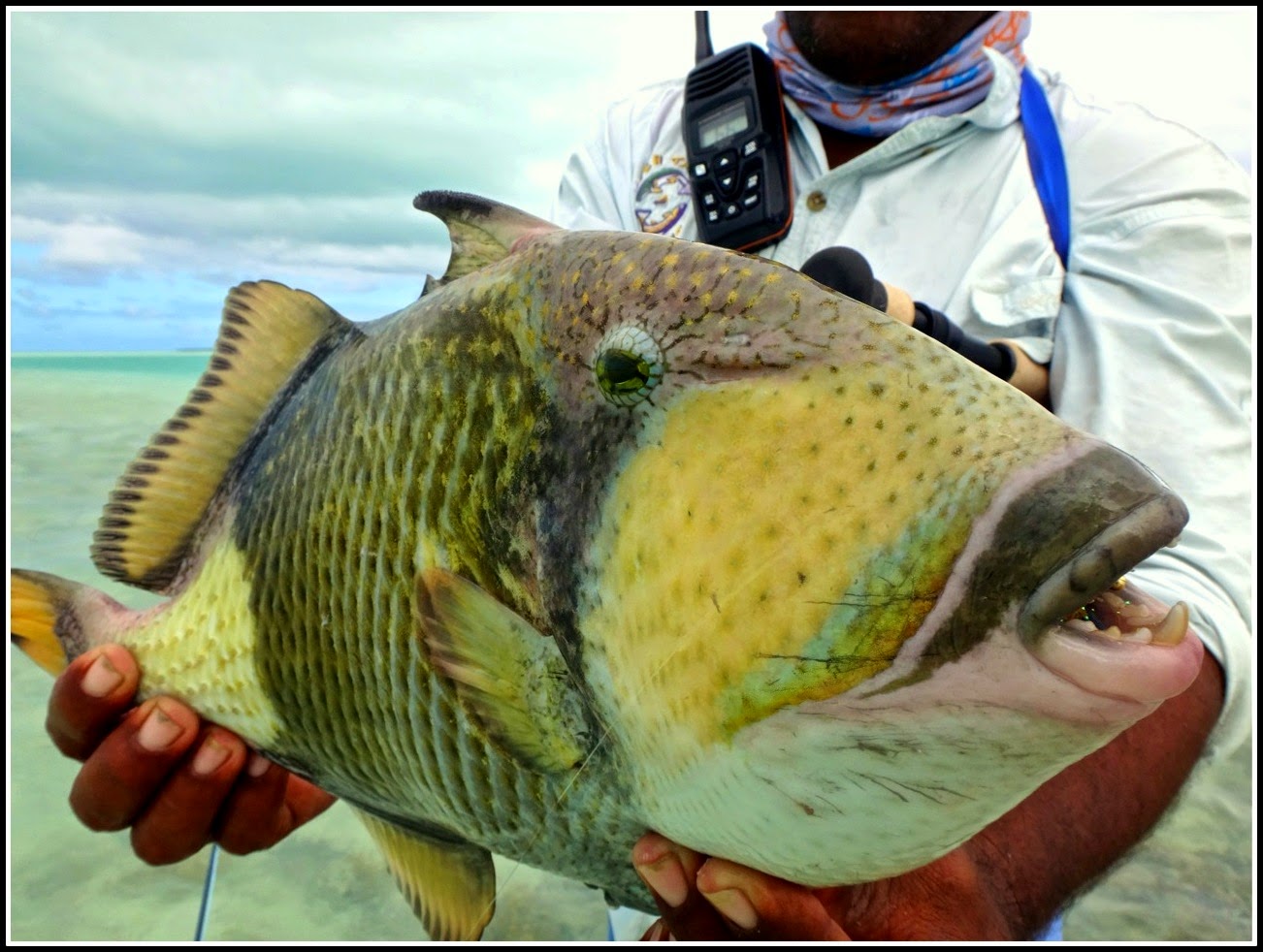 Gorge Fly Shop Blog: Christmas Island, Ikari House