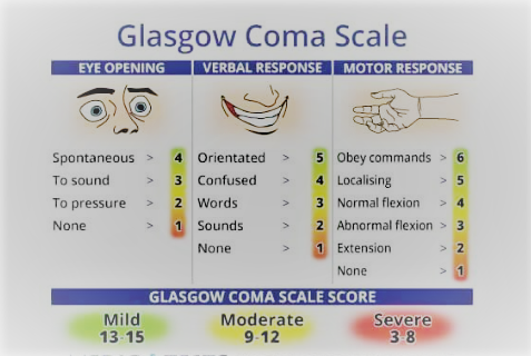 Glasgow Coma Scale : Gcs Remastered Recent Updates To The Glasgow Coma ...
