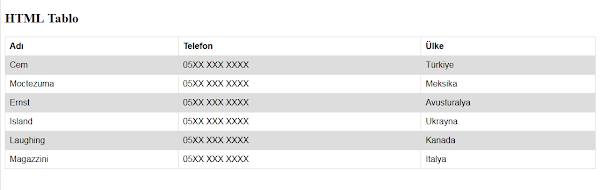 HTML Tablo Oluşturma - Cem Özer GÜNGÖR | Blog