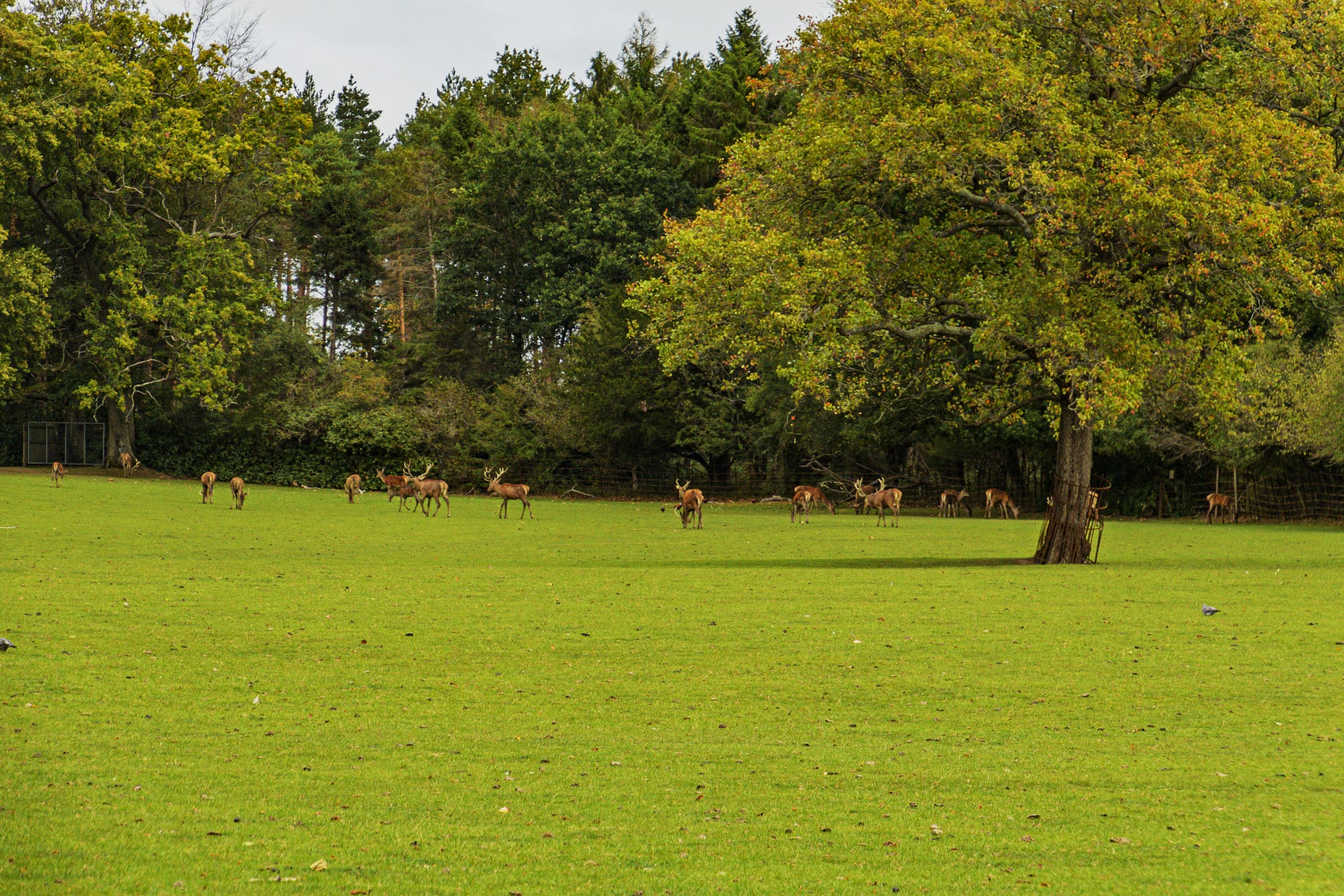 Enjoy your time with beautiful places: Warnham Nature Reserve and ...