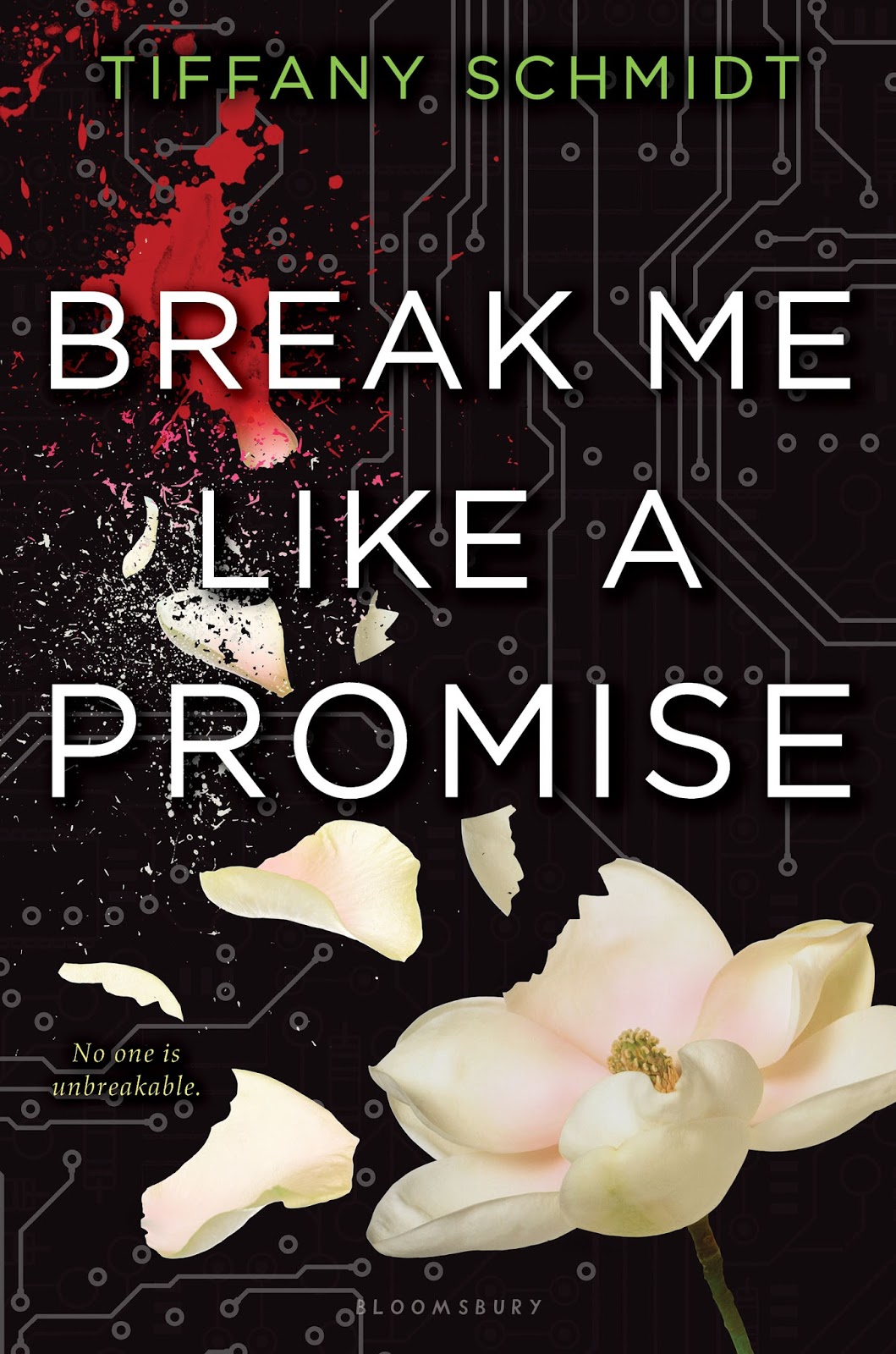 BLOG TOUR | GUEST POST: Break Me Like A Promise by Tiffany Schmidt