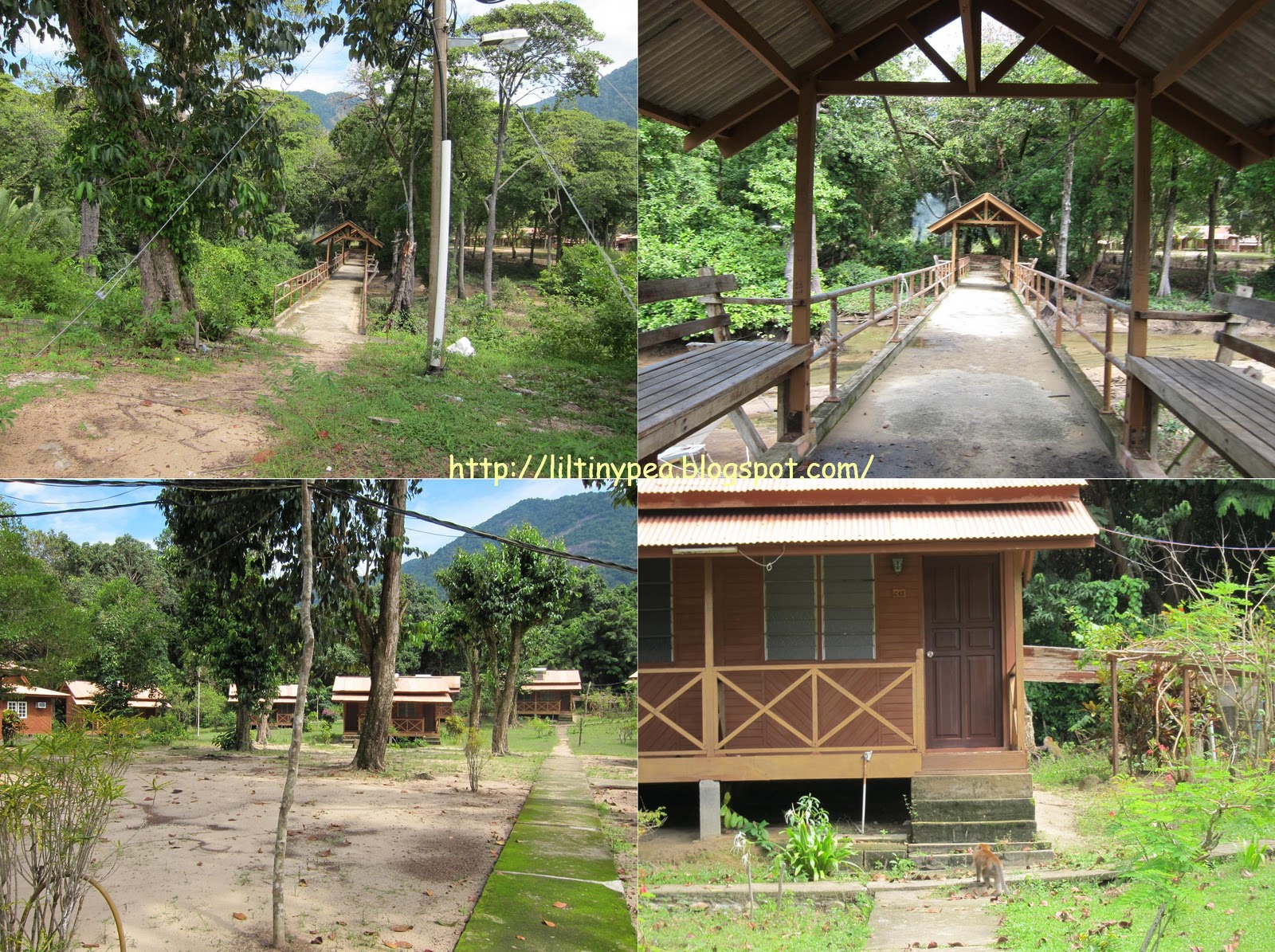 Tiny Pea's Travel & Foodie experiences: [Travel] Tioman - 3 days 2 ...