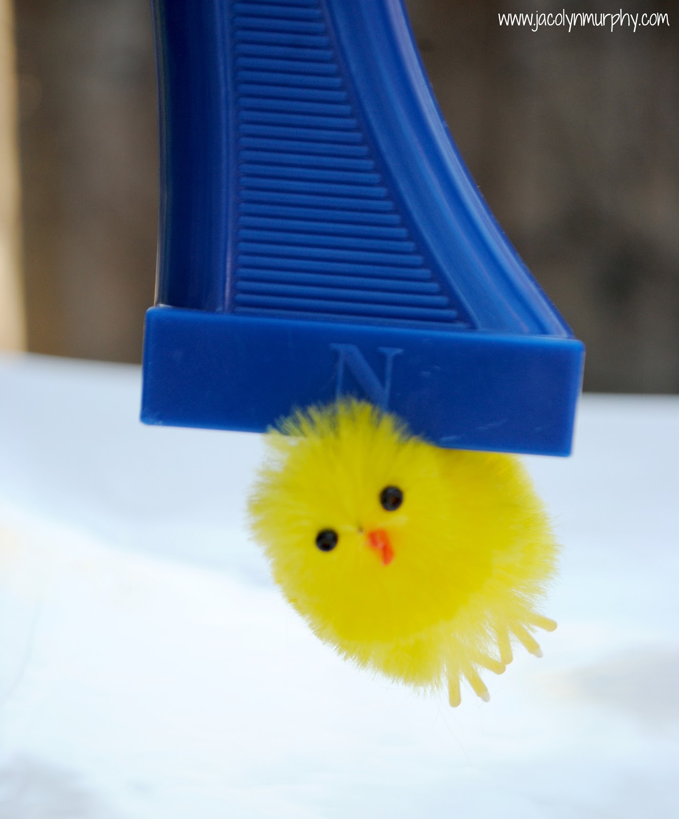 Jac o' lyn Murphy: Easter Chicks that are so "Attractive"!