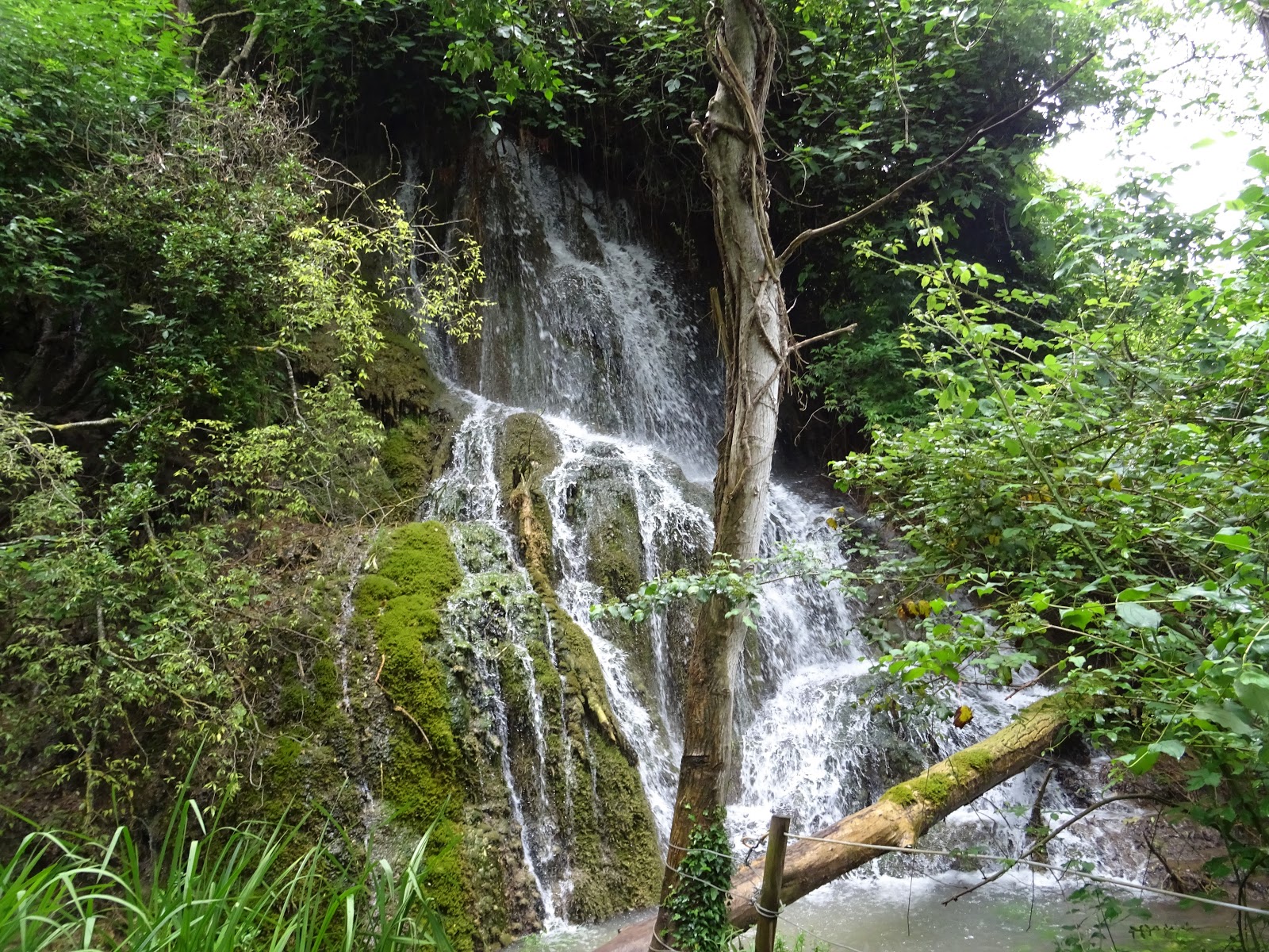 ARTÍCULOS, RESEÑAS LITERARIAS Y EXCURSIONES Carlos Bravo Suárez ...
