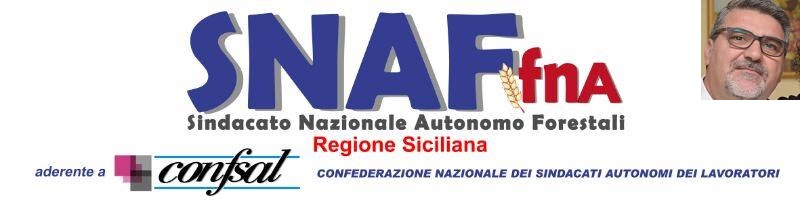IL BLOG DEI LAVORATORI FORESTALI E DEGLI ADDETTI ALLO SPEGNIMENTO ...