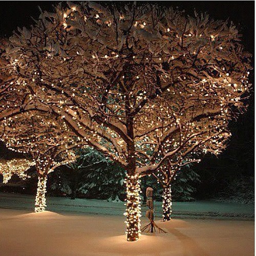 Gorgeous: 4th of December - Lights are all around!!