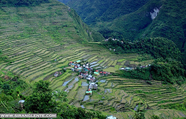 SIRANG LENTE: BATAD RICE TERRACES (Travel Guide, Itinerary, Things you ...