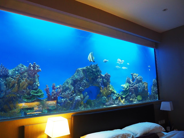 VinaTraveler's Blog: Hotel H2O and Manila Ocean Park, an Amazing "One ...