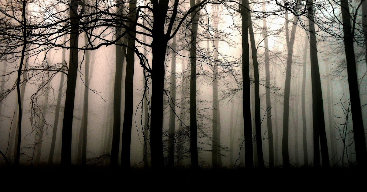 CreepyPasta#1 : Forgotten Forest