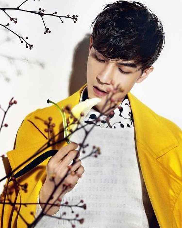 Biodata dan Profil Lengkap Ren Yankai (Ming Ren) - Nona Mandarin