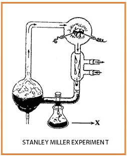 BIOLOGI GONZAGA: KISI BIOLOGI SMA UJIAN NASIONAL 2013