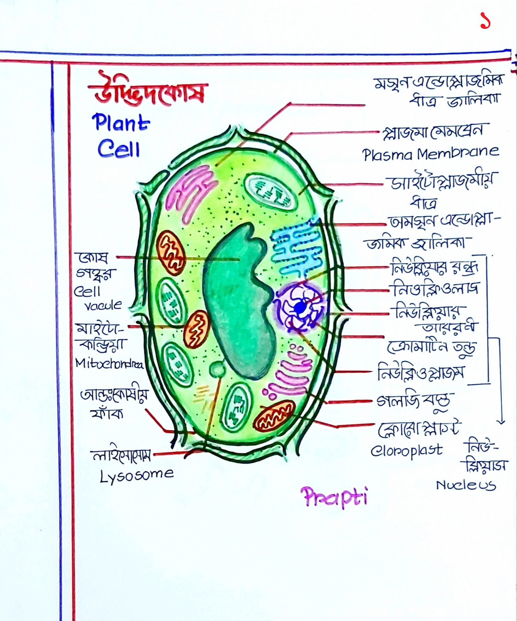 SSC Biology Chapter 2 Hand Note