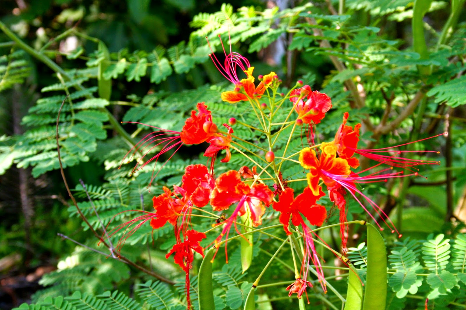 SEYILAABE HTKM: 2014