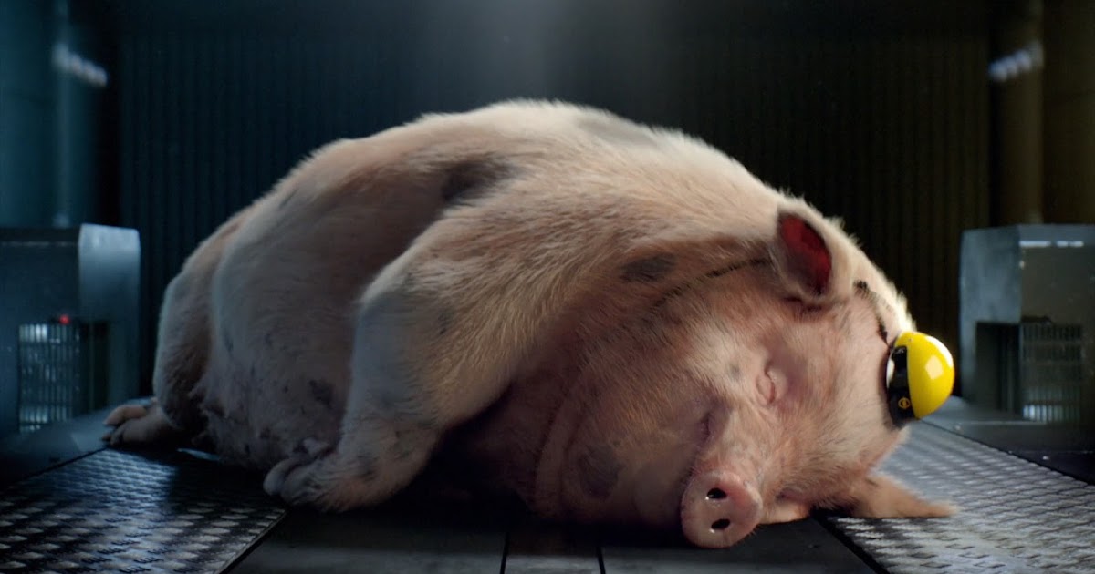 CGI Animals & Creatures Reel by The Mill | Computer Graphics Daily News