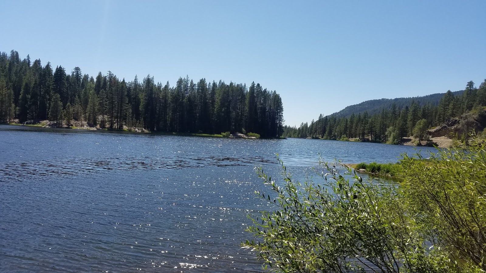 Keep Calm and Fly Fish: A Trip To Milton Reservoir