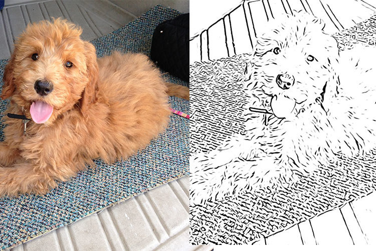 Make Coloring Pages ~ Coloring Print