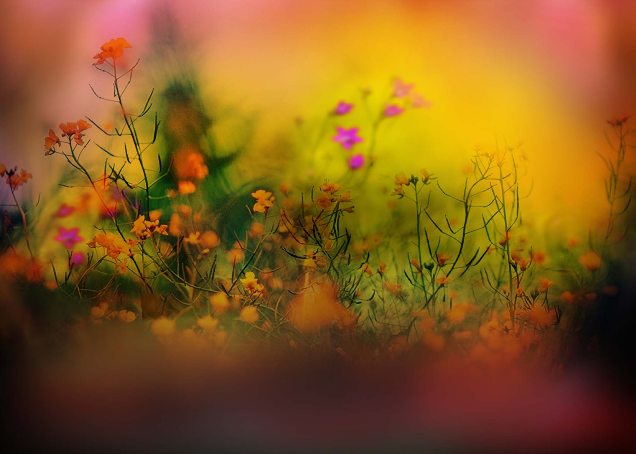 free psd studio backgrounds Vol-1