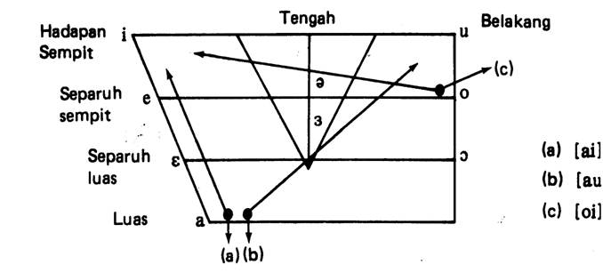 Cakna Bahasa: Artikulasi dan Artikulator