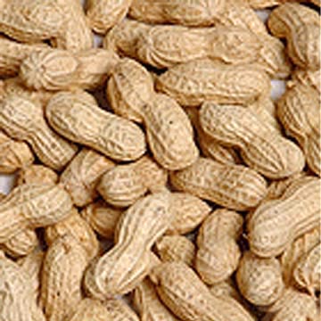 Gietjes Weetjes: Pindanoot of was het nu pindapeul?