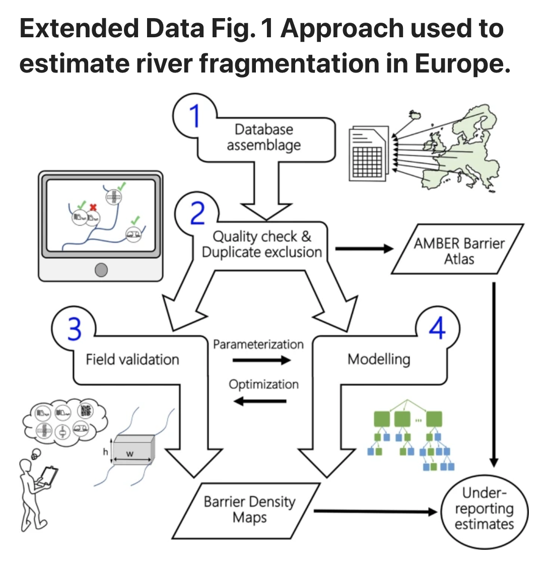 More than one million barriers fragment Europe’s rivers | #planthro ...