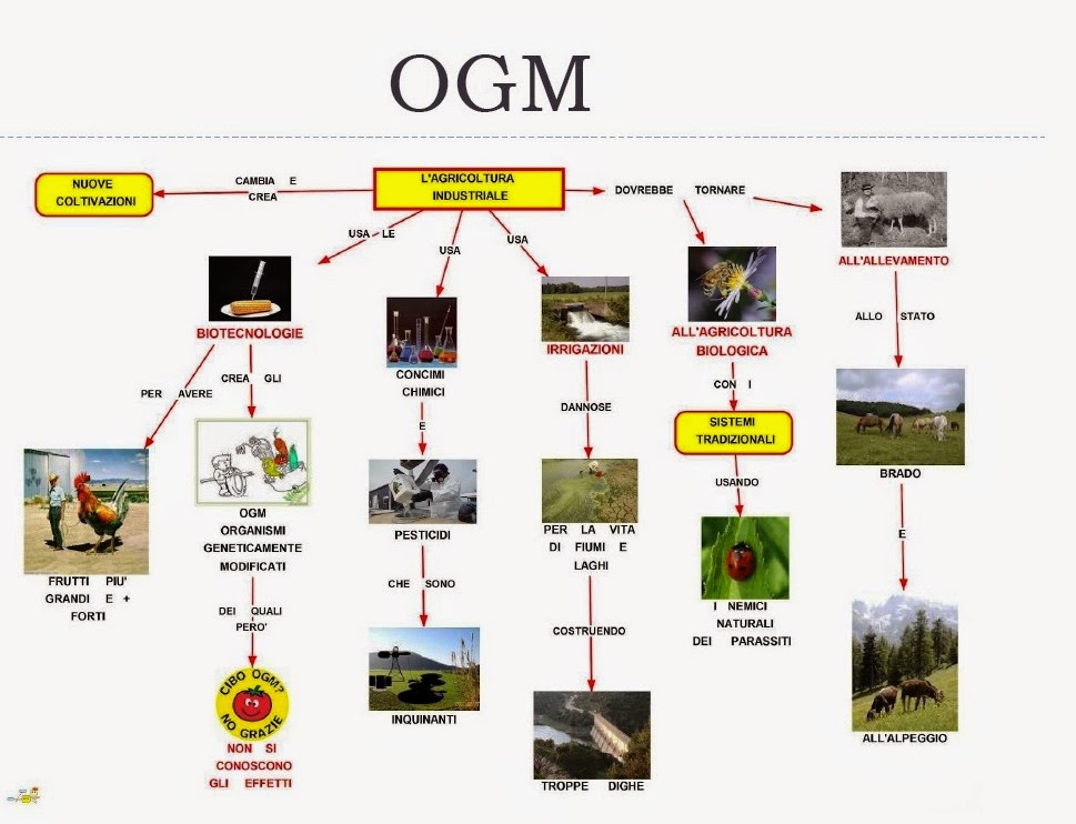 Work in Progress: L'AGRICOLTURA INDUSTRIALE E GLI OGM