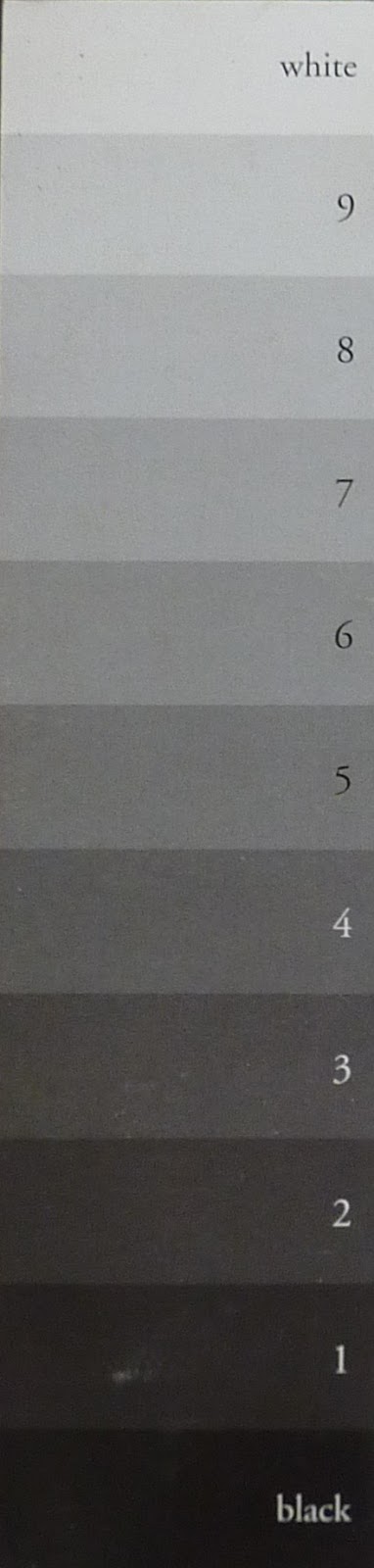 Painting My World: How to Paint a Bright Overcast Day