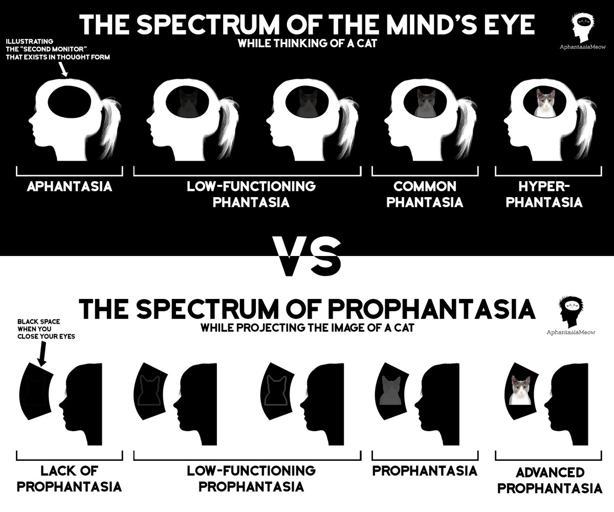 EXAMS AND ME : Aphantasia