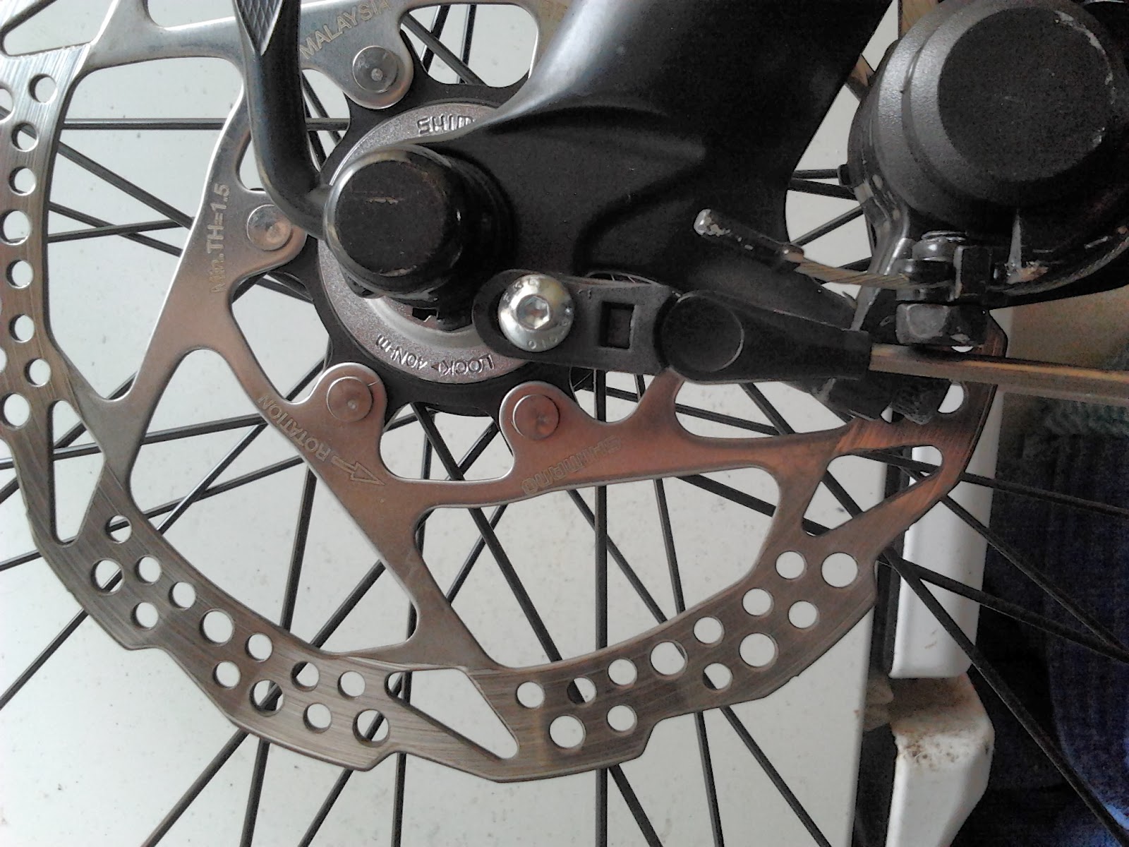 This and That: Avanti Inc 2