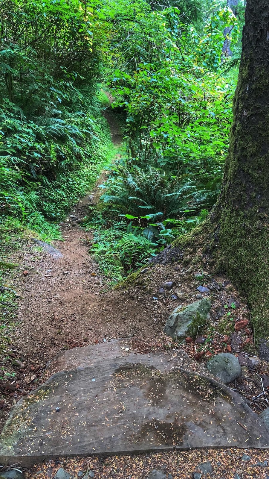 Over the Hill Sisters: Nehalem Falls Campground (OR)