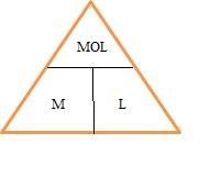 Molecular HydroCarbons: Molarity of Solutions