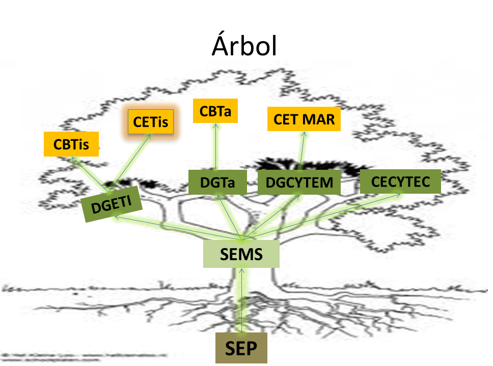 INDUCCIÓN A LA DGETI: 1. La DGETI y mi escuela (CETis 135)