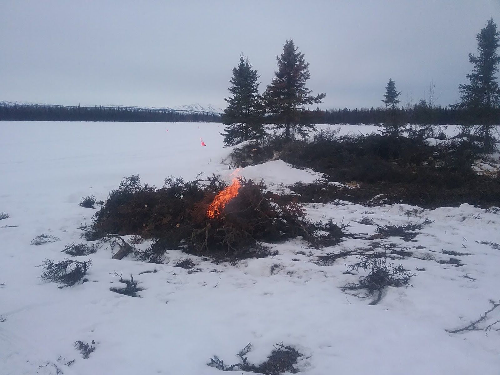Alaska Bush Life, Off-Road, Off-Grid: Chainsawing Hundreds of Dead ...