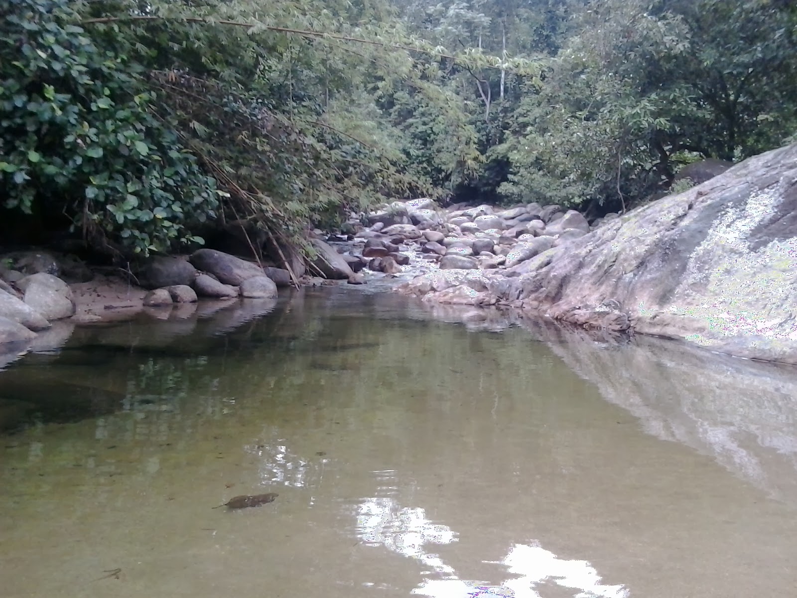 genggampisau.blogspot.com: Taiping Interesting Places 4......Burmese Pool