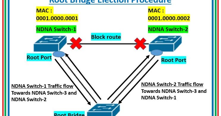 Spanning Tree Protocol : STP Root Bridge Election Procedure - The Network DNA
