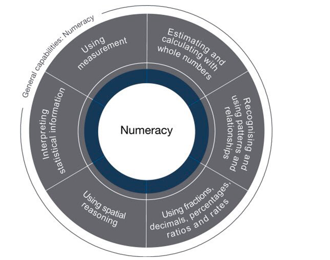 Literacy and Numeracy for Educators