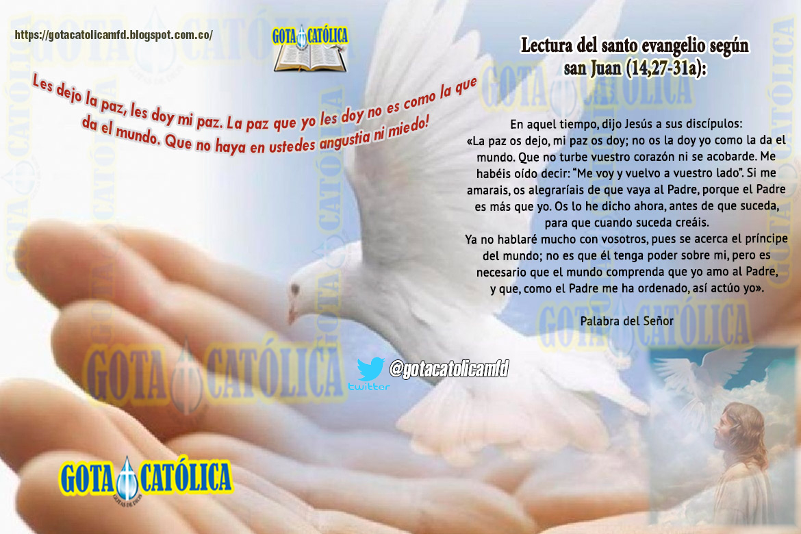 Gota Católica Gotas De Dios Lecturas Del Martes De La 5ª Semana De