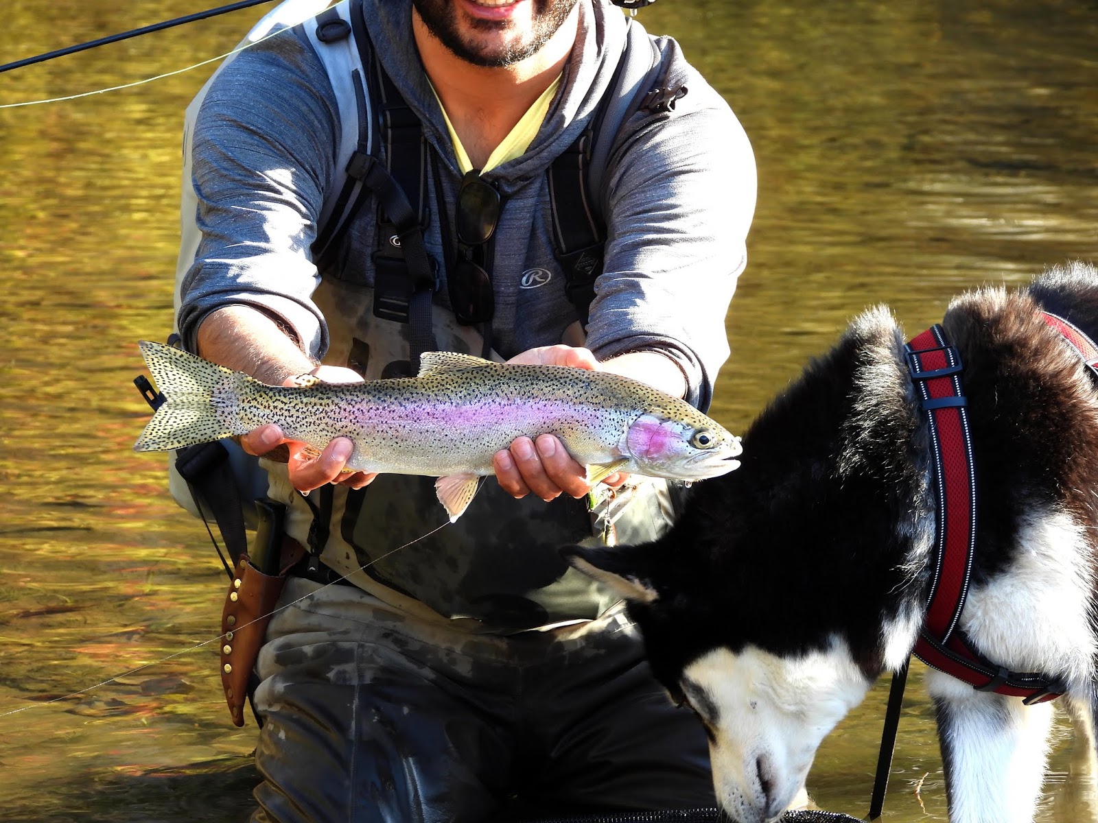 Ebi Fisher: Skagit River British Columbia , Rainbow trout , Brook trout ...