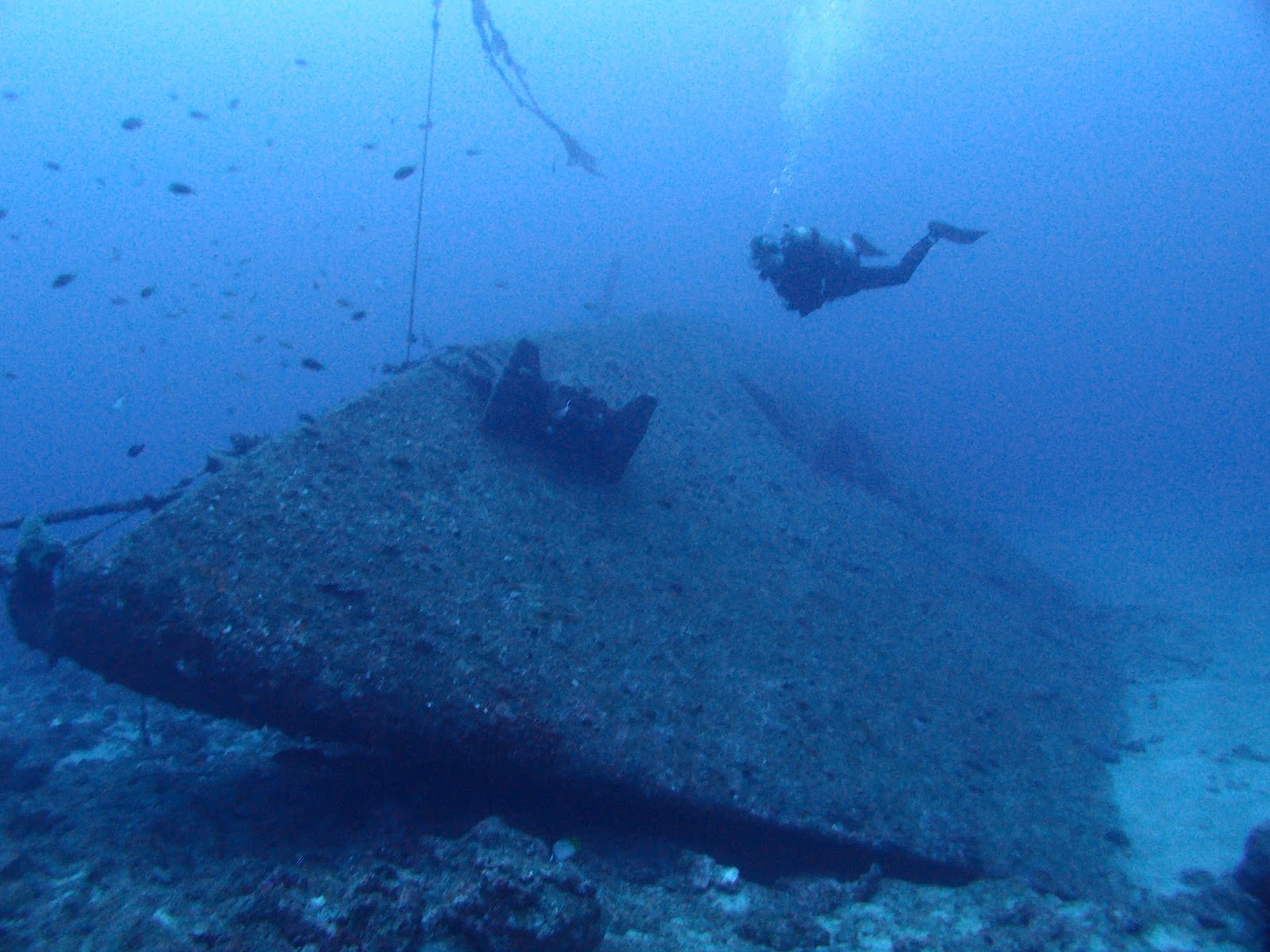 OKINAWA 39ers Dive Log: Deep Wreck "USS Emmons"
