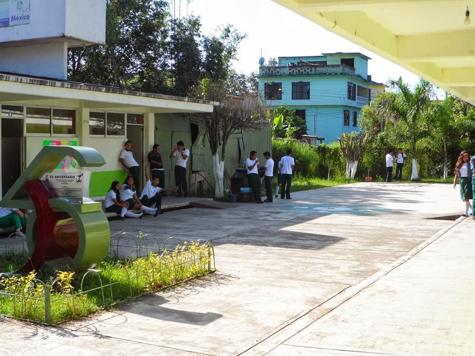 "MI ESTANCIA EN EL PLANTEL 46": MI ESTANCIA EN EL COBAEV 46