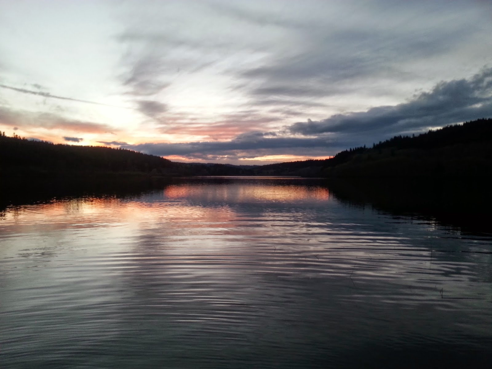 178 Tage Kanada: Bär gesichtet!