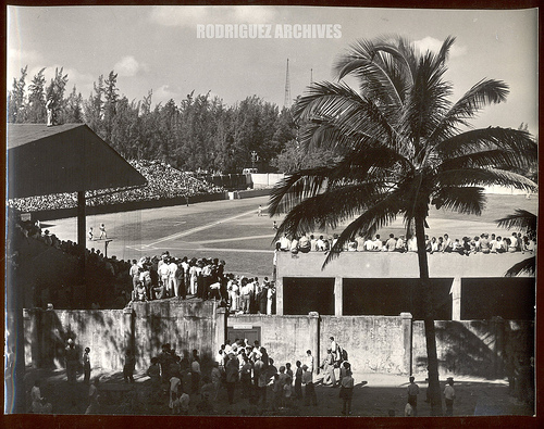 Alexx Beisbol: Camino Clásico Mundial 24: Puerto Rico