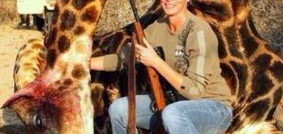 DOGWOOD: Trophy hunting - giraffes